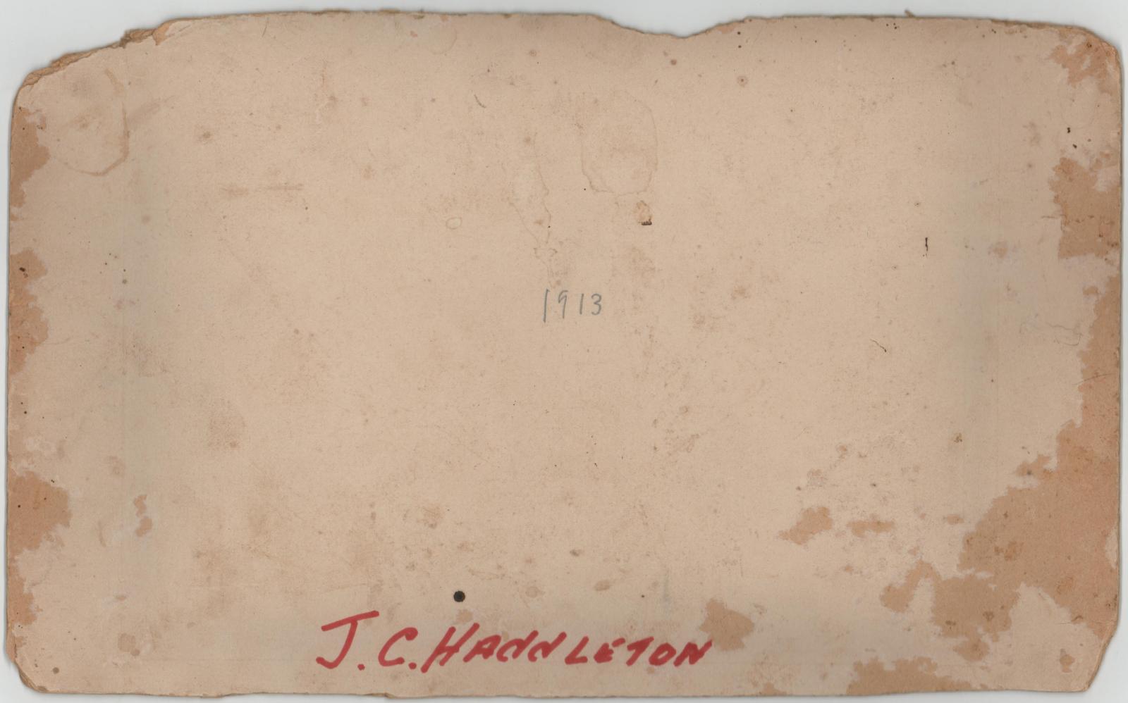 Picnic in the Bush | Collections WA