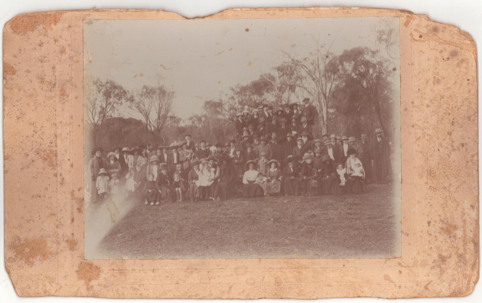 Picnic in the Bush | Collections WA