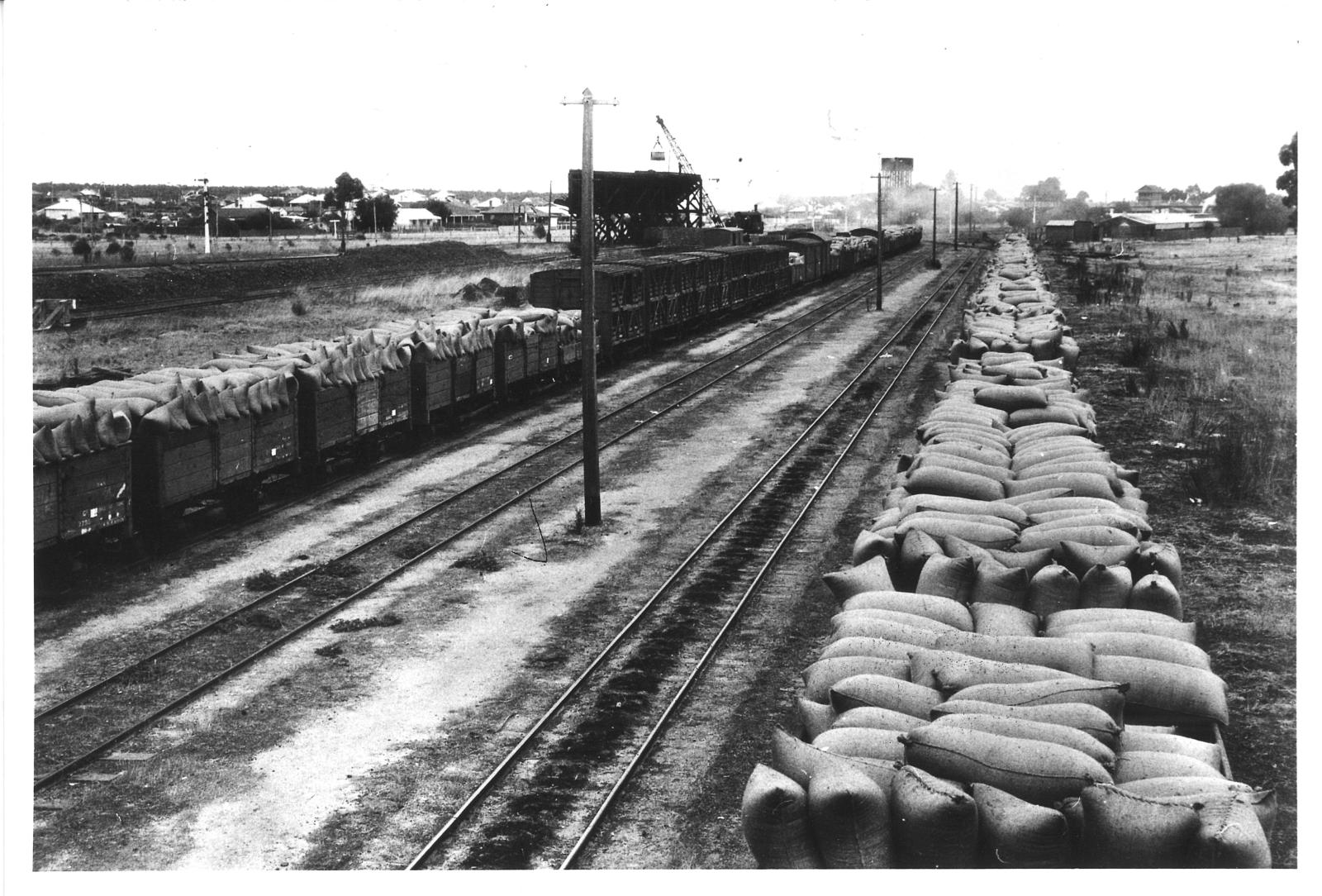 MERREDIN WHEAT TRAINS 1930S | Collections WA