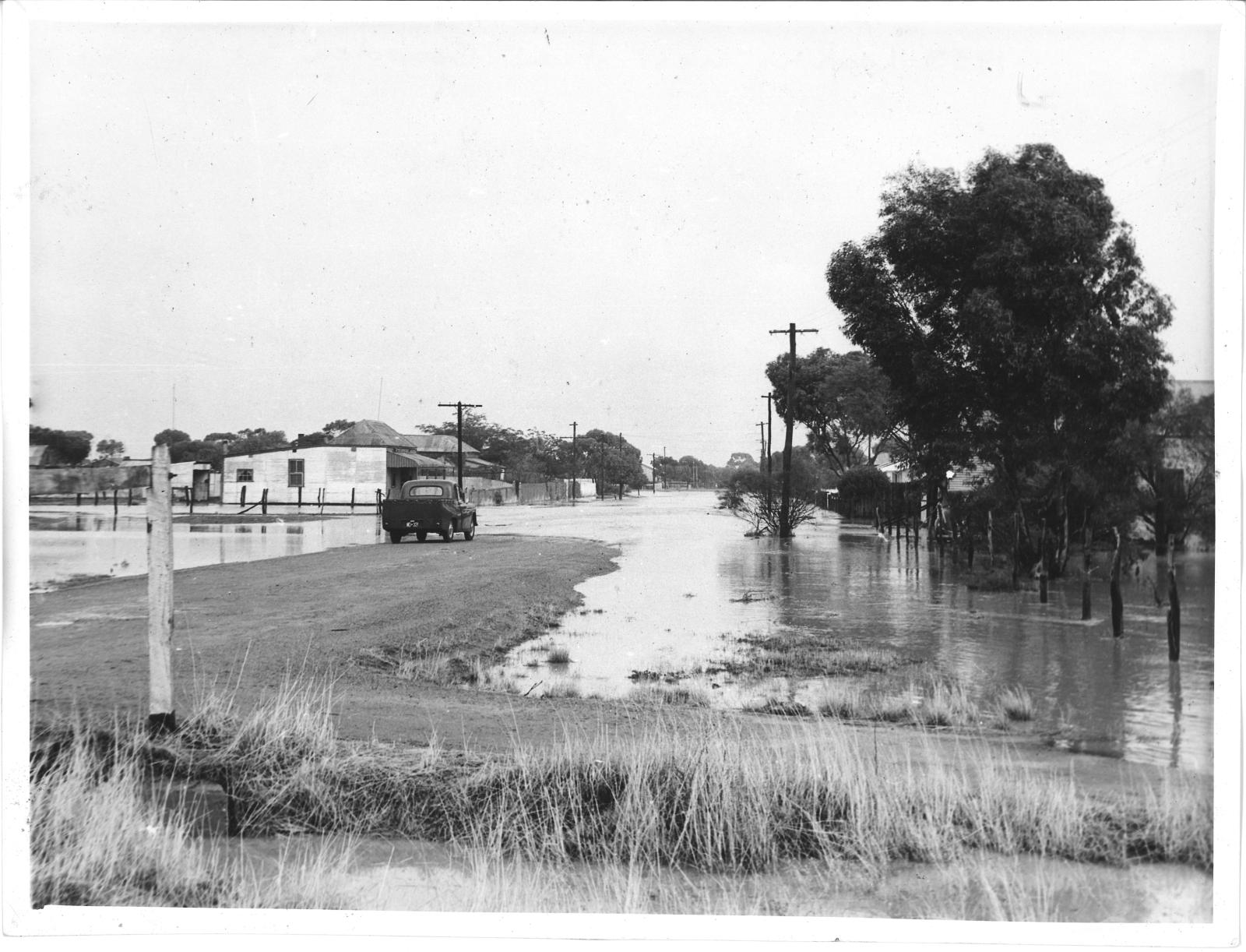 1953 FLOODS IN MERREDIN AREA | Collections WA