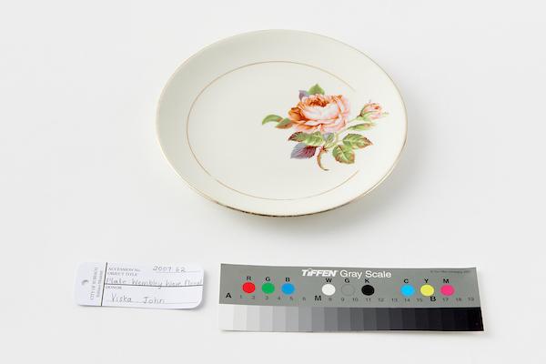 PLATE: WEMBLEY WARE, FLORAL | Collections WA