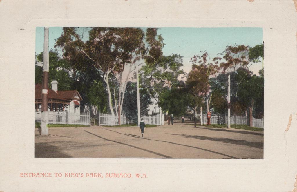 POSTCARD: VIEW OF SUBIACO | Collections WA