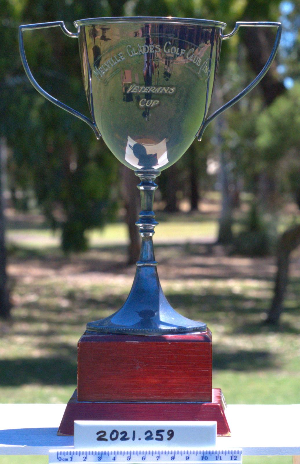 MEN'S VETERANS CUP TROPHY | Collections WA