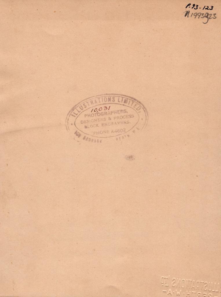 PHOTOGRAPH: METTERS 'EARLY KOOKA' NO. 2 STOVE | Collections WA